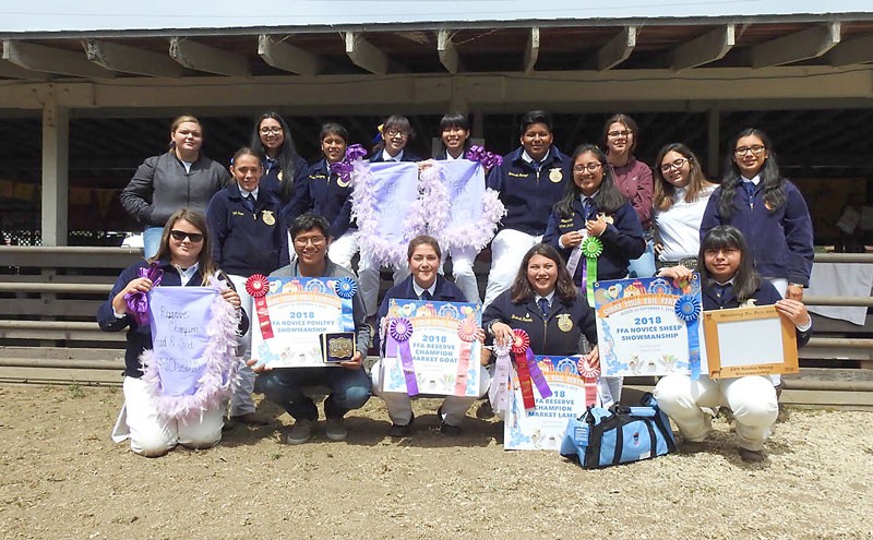 Greenfield FFA Chapter shows well at Monterey County Fair - Greenfield ...